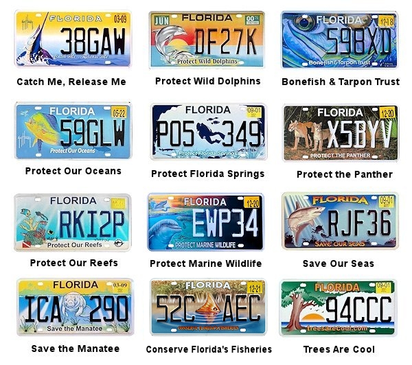 Florida License Plate Designs Estudioespositoymiguel ar
